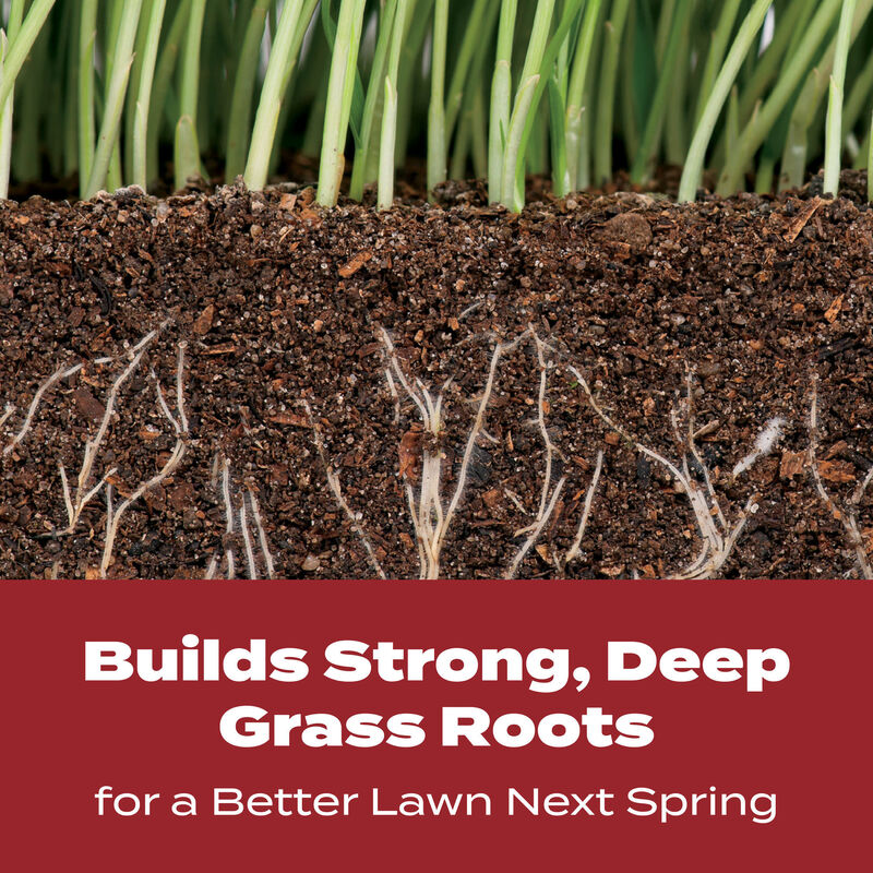 Scotts® Turf Builder® WinterGuard® Fall Lawn Food - ScottsMiracle-Gro