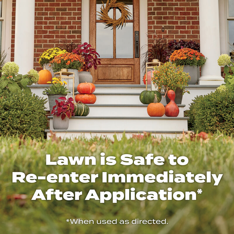 Scotts® Turf Builder® WinterGuard® Fall Lawn Food - ScottsMiracle-Gro